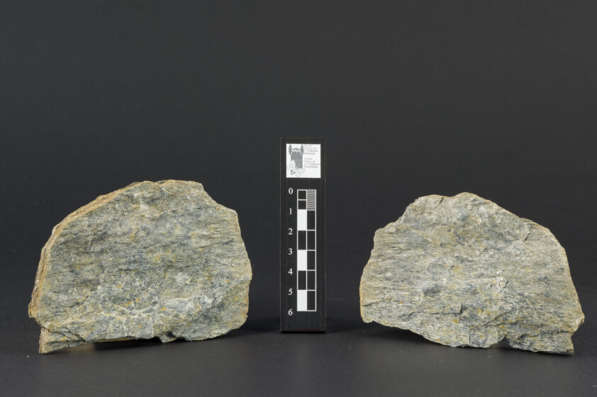 scisto argilloso – Museo Regionale di Scienze Naturali Efisio Noussan